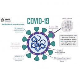Información Coronavirus - PONTIFICIA UNIVERSIDAD CATÓLICA DE VALPARÍSO