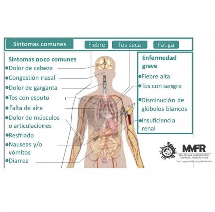 Información Coronavirus - PONTIFICIA UNIVERSIDAD CATÓLICA DE VALPARÍSO